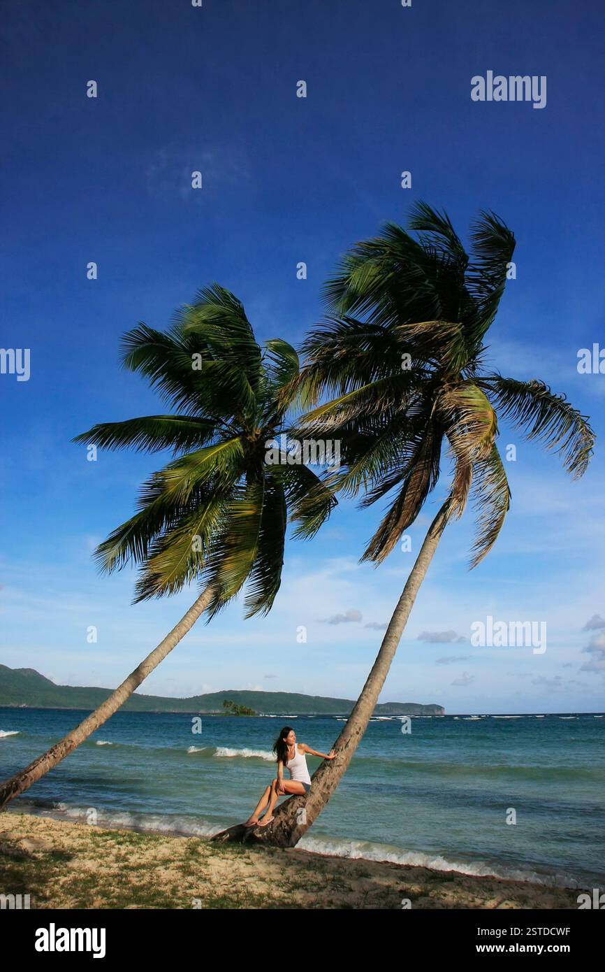 Young woman sitting on leaning palm tree, Las Galeras beach, Samana ...