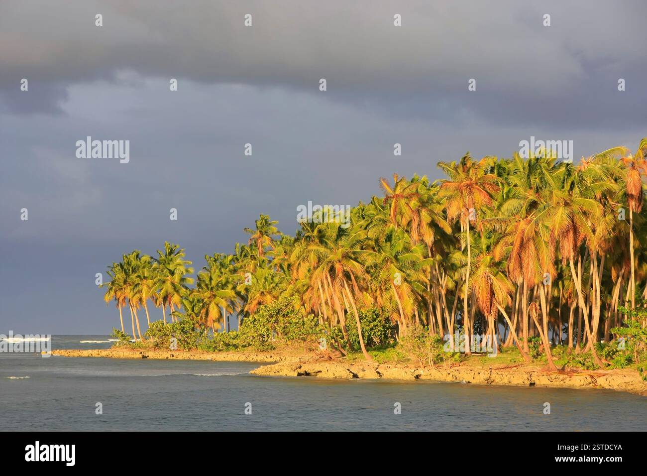 Las Galeras beach at sunset, Samana peninsula, Dom Stock Photo - Alamy