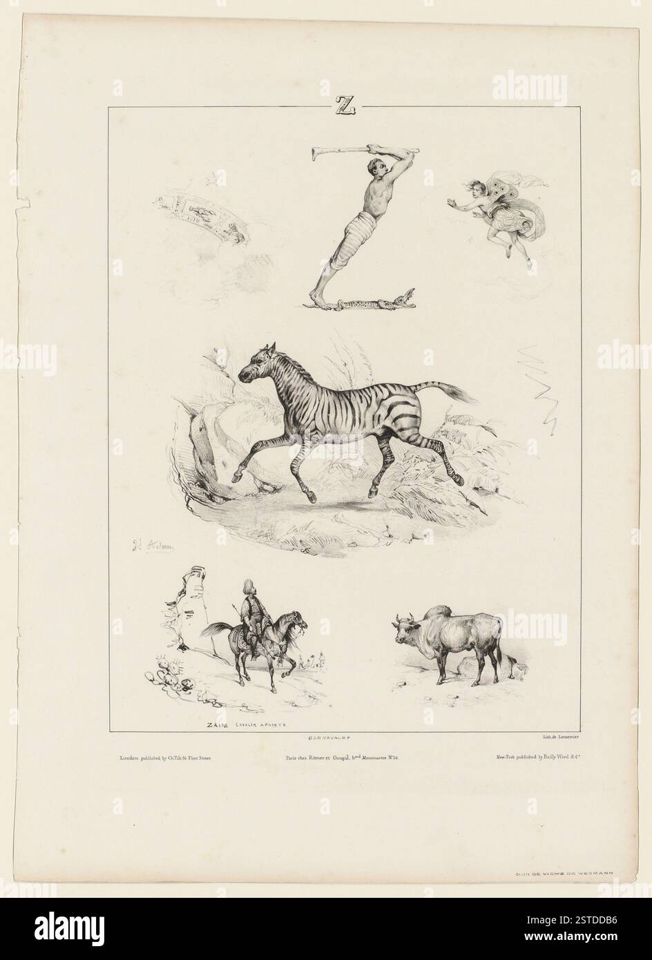 Various scenes representing the letter Z, or whose name begins with ...