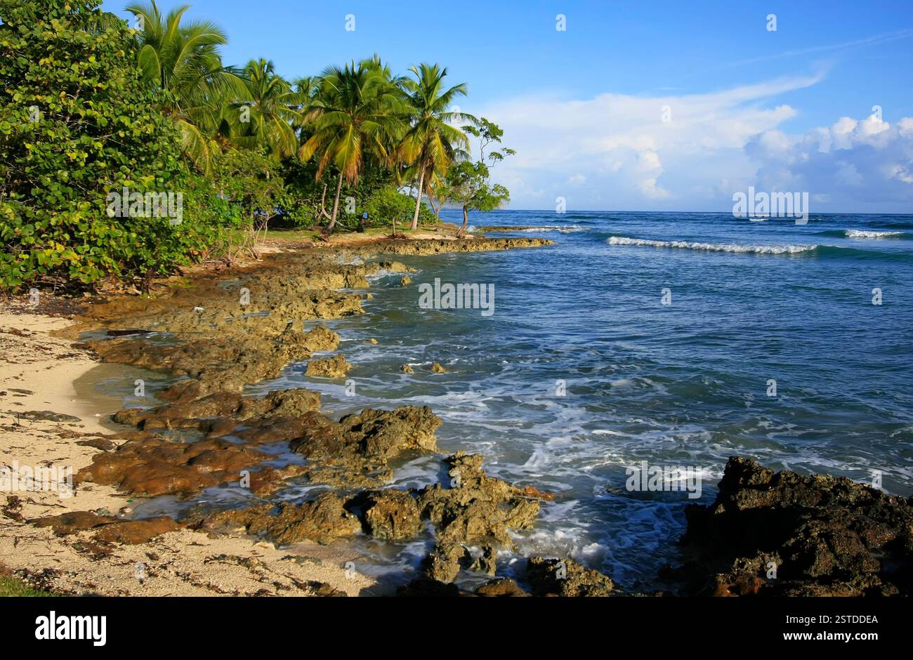 Las Galeras beach, Samana peninsula, Dominican Rep Stock Photo - Alamy