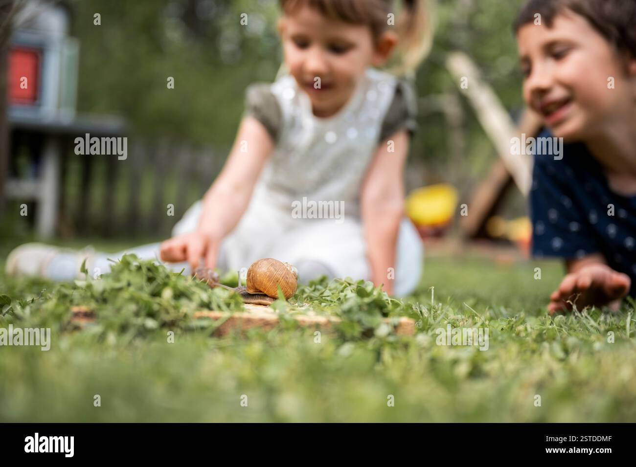 Boy and girl, brother and sister, playing in a garden observing snails ...