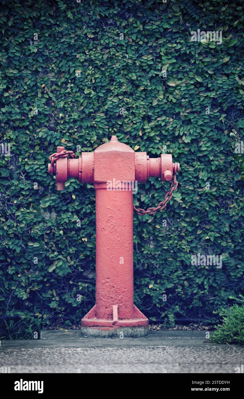 Old street fire hydrant Stock Photo - Alamy