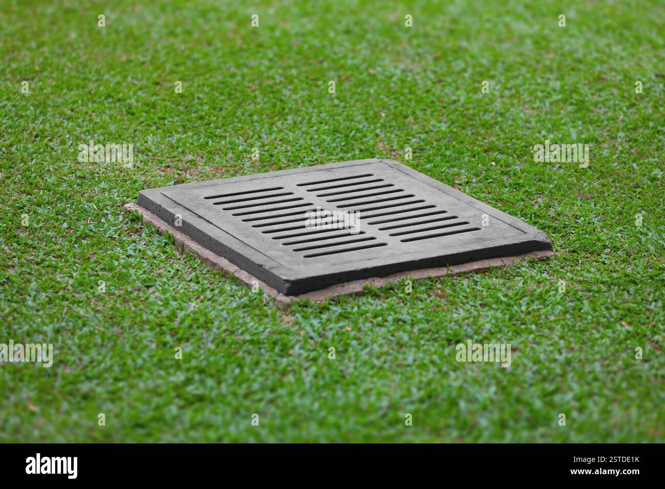 Sewer grate on the lawn - drainage for heavy rain Stock Photo - Alamy