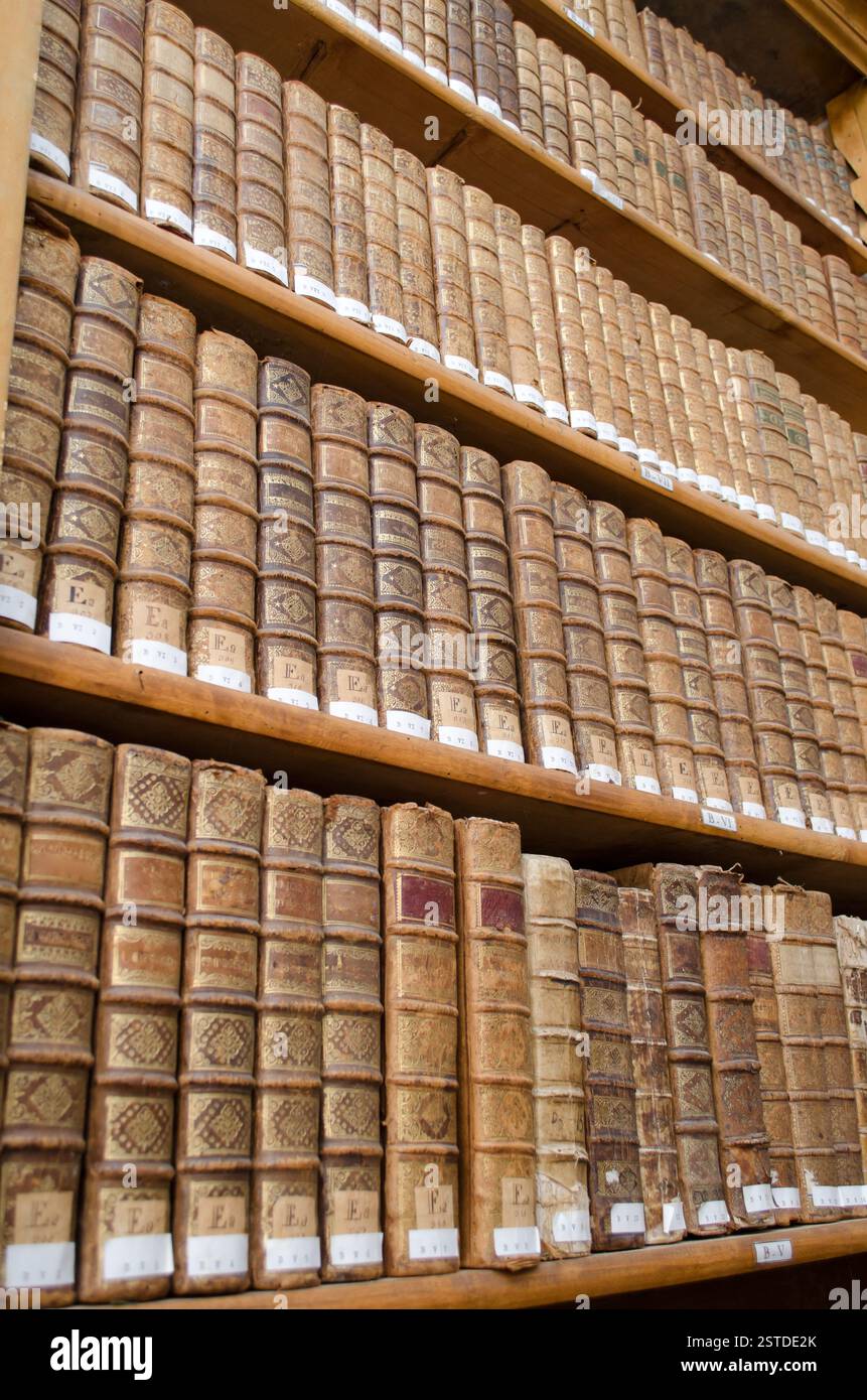 Antique library shelves with old books Stock Photo - Alamy
