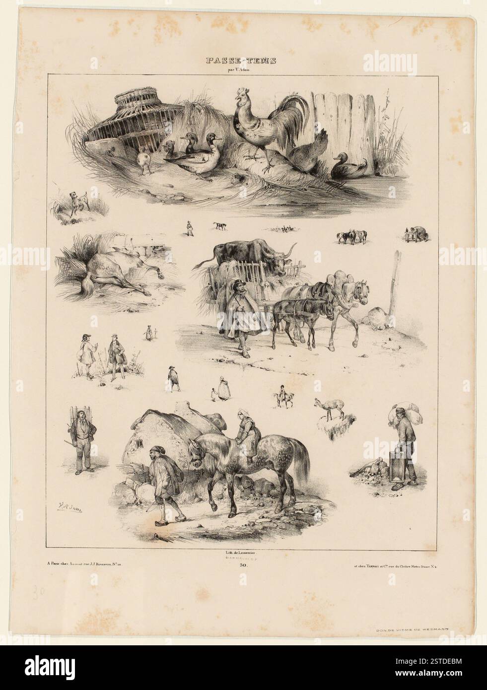 Campagnard scenes in 17 vignettes, featuring farm animals, a team with ...