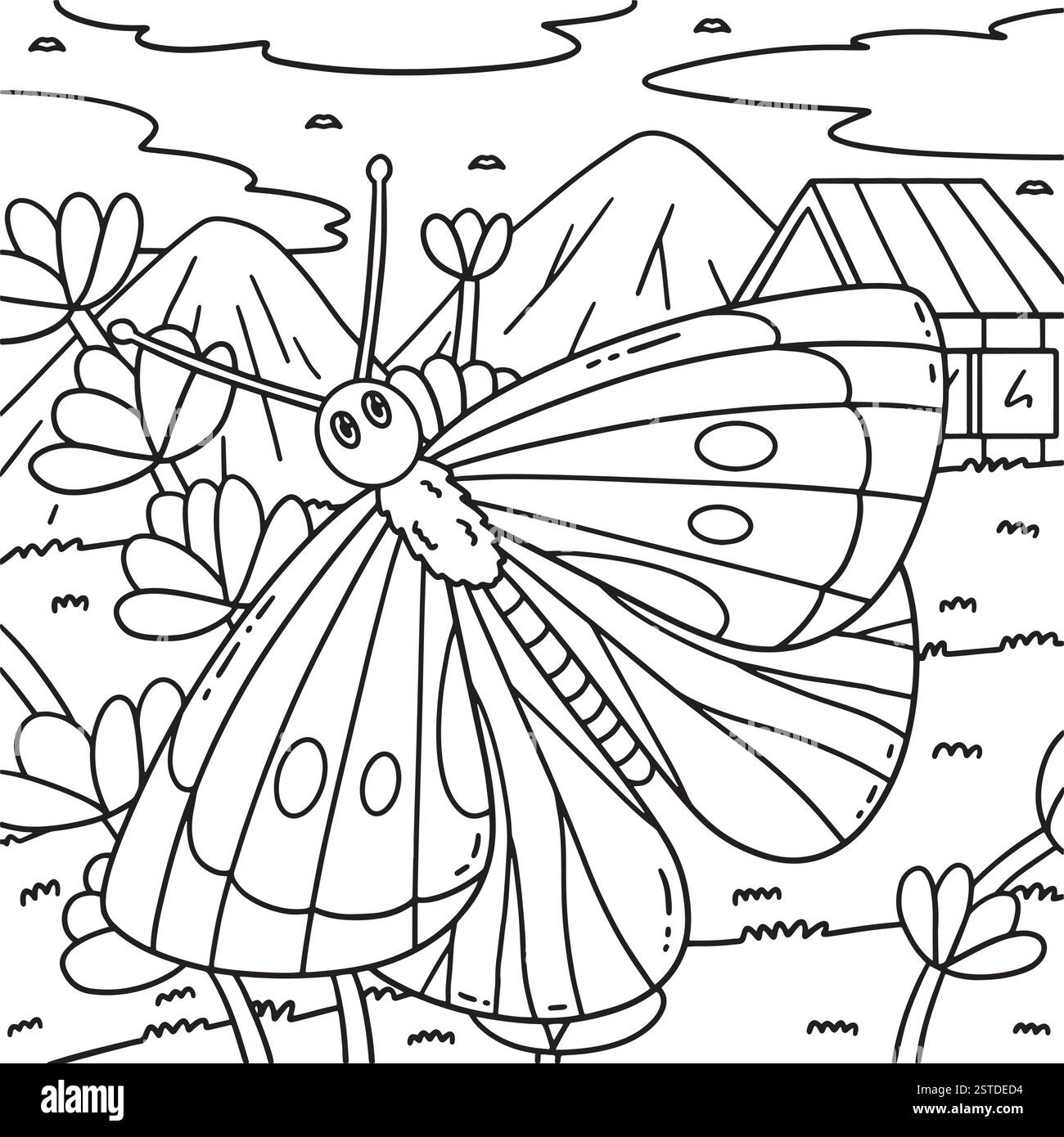 Insect Cabbage White Butterfly Coloring Page Stock Vector Image & Art ...
