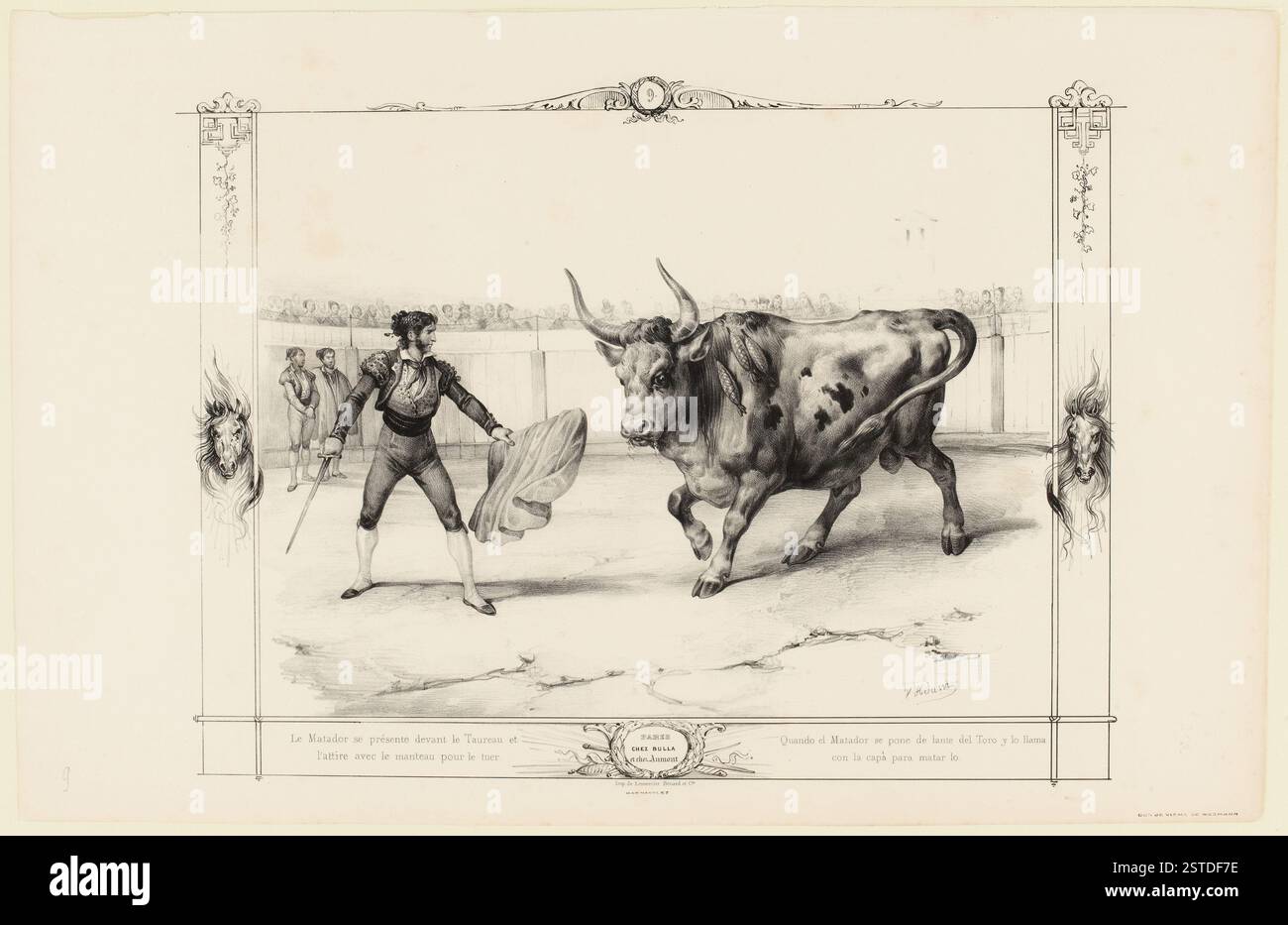 In the bullfighting arena, a bull faces off with the matador. The scene ...