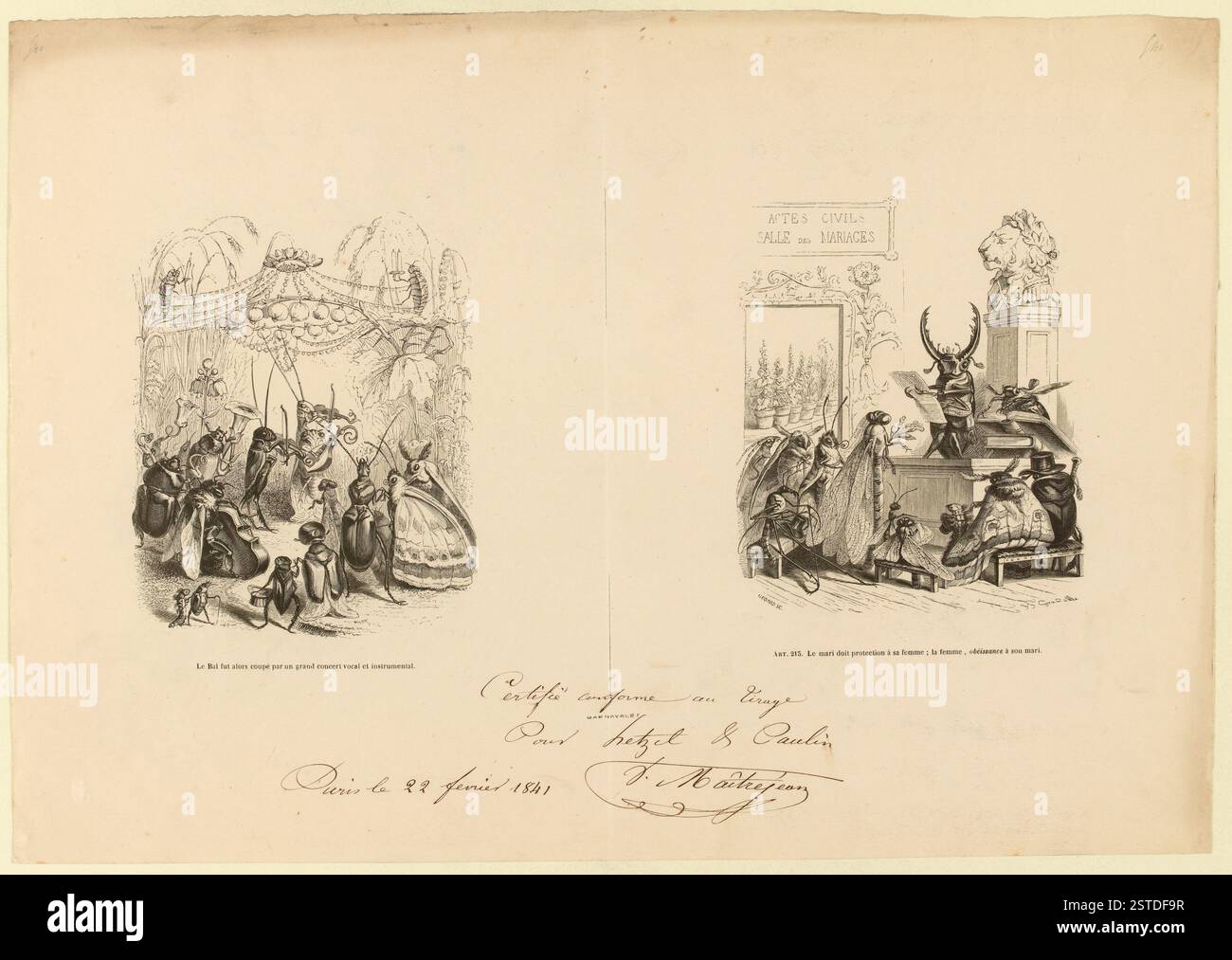 A scene depicting the privacy of animals, with two vignettes: on the ...