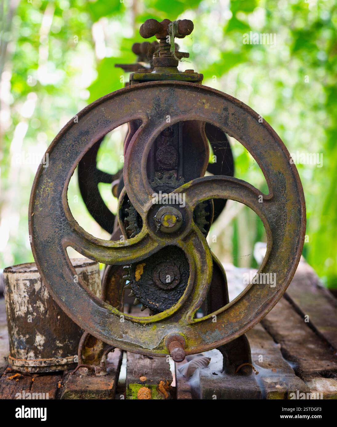 Old cast iron machine for squeezing the latex Stock Photo - Alamy
