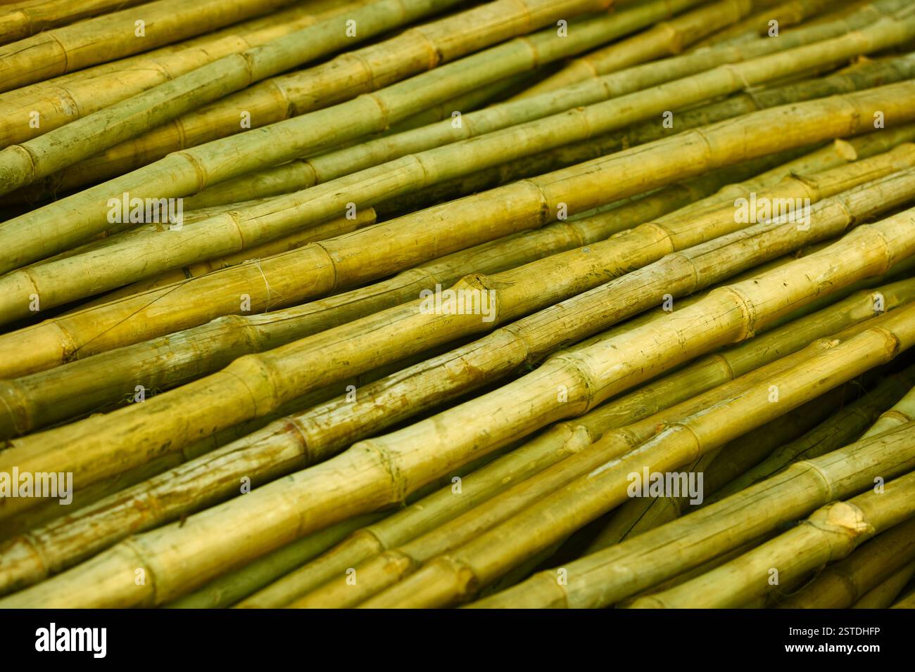 Bamboo trunks prepared for building Stock Photo - Alamy