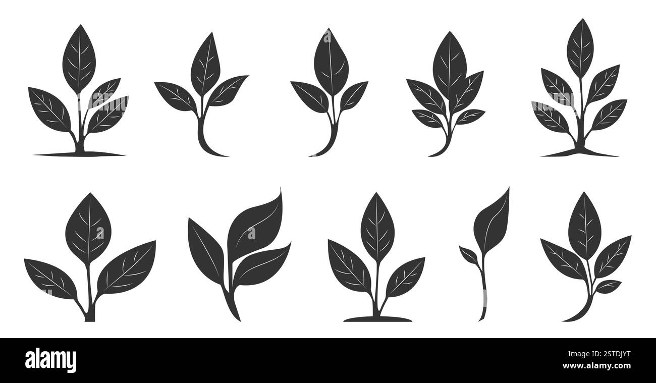 Veggie tree Black and White Stock Photos & Images - Alamy