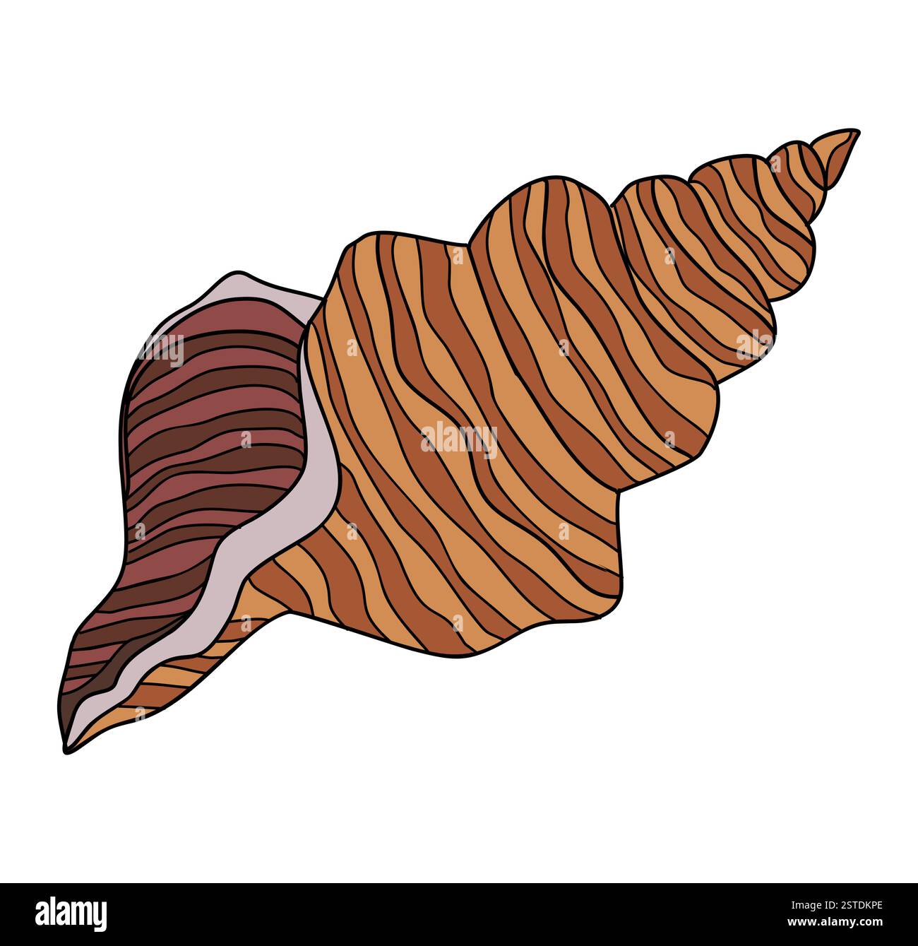 Shell horn Stock Vector Images - Alamy