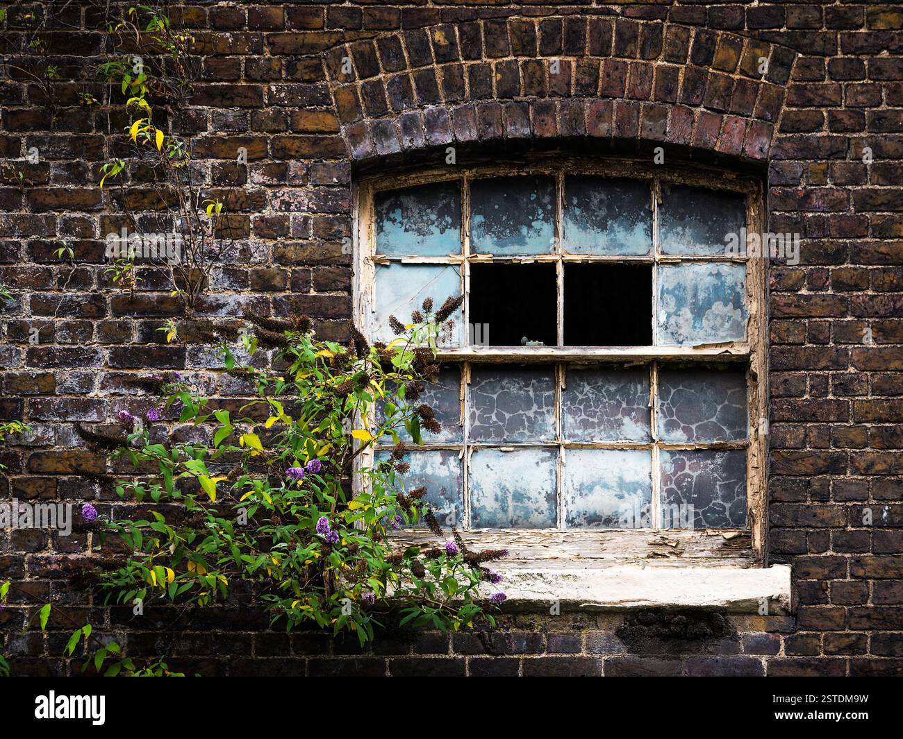 Broken wall home hi-res stock photography and images - Alamy