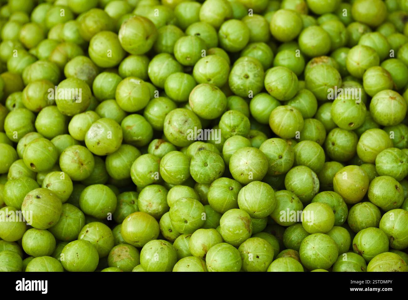 Amla fruit indian gooseberry hi-res stock photography and images - Alamy