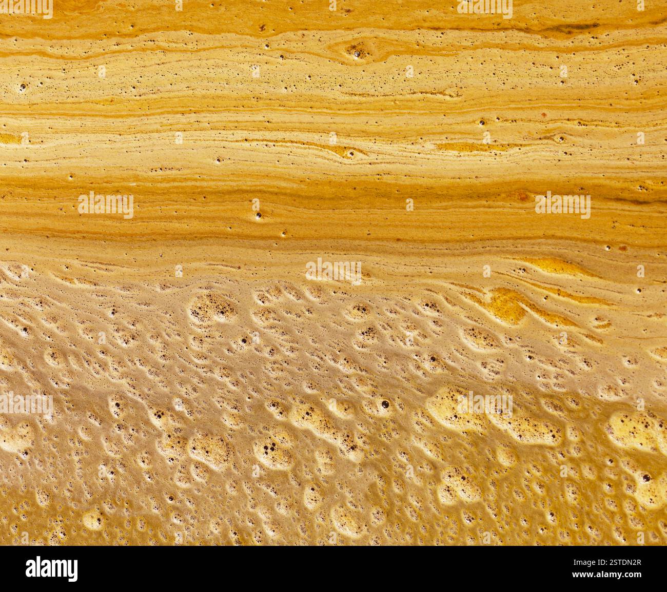 Yellow scum on the surface of dirty water Stock Photo - Alamy