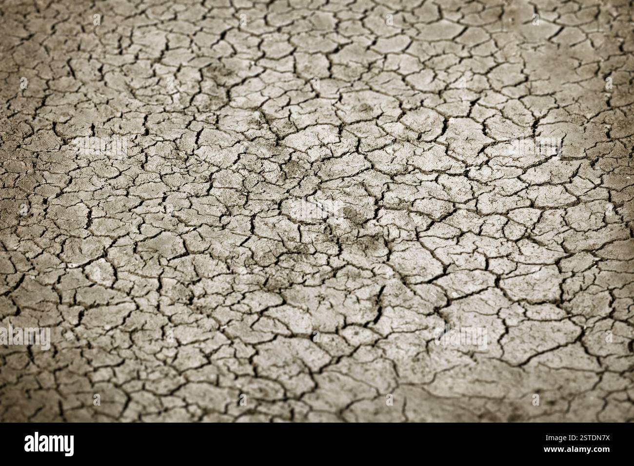 Dry land in season hi-res stock photography and images - Alamy