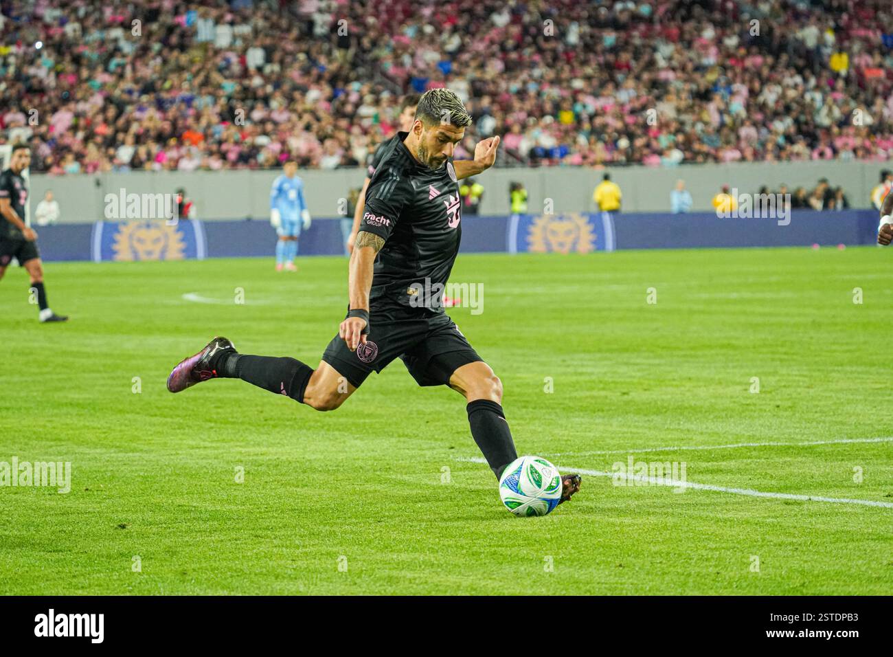 Tampa, Florida, USA, February 14, 2025, Inter Miami forward Luis Suarez ...