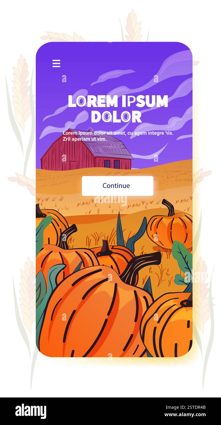 Pumpkin field autumn harvest scene with barn bright orange pumpkins ...