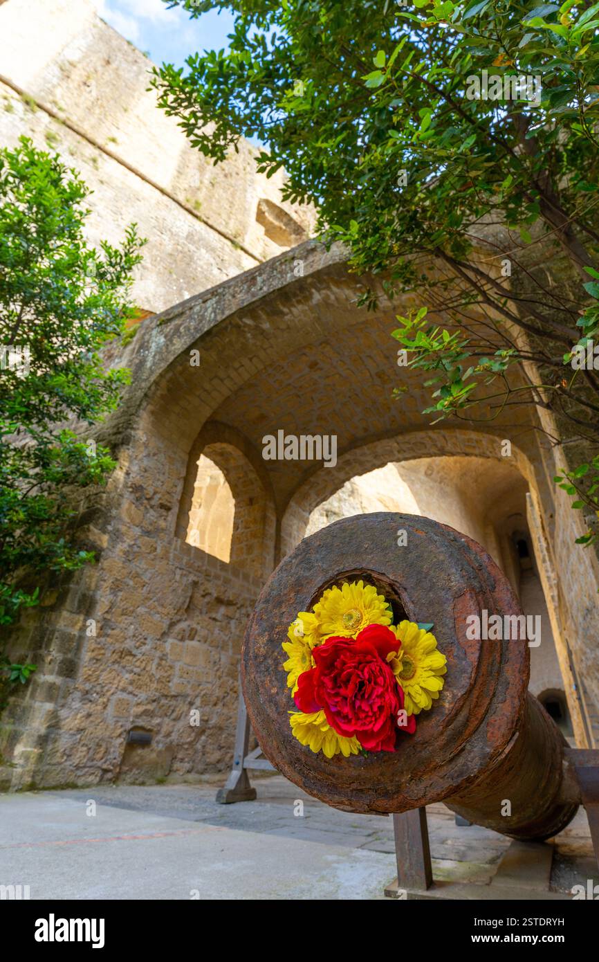 Anti war protest gun flower hi-res stock photography and images - Alamy