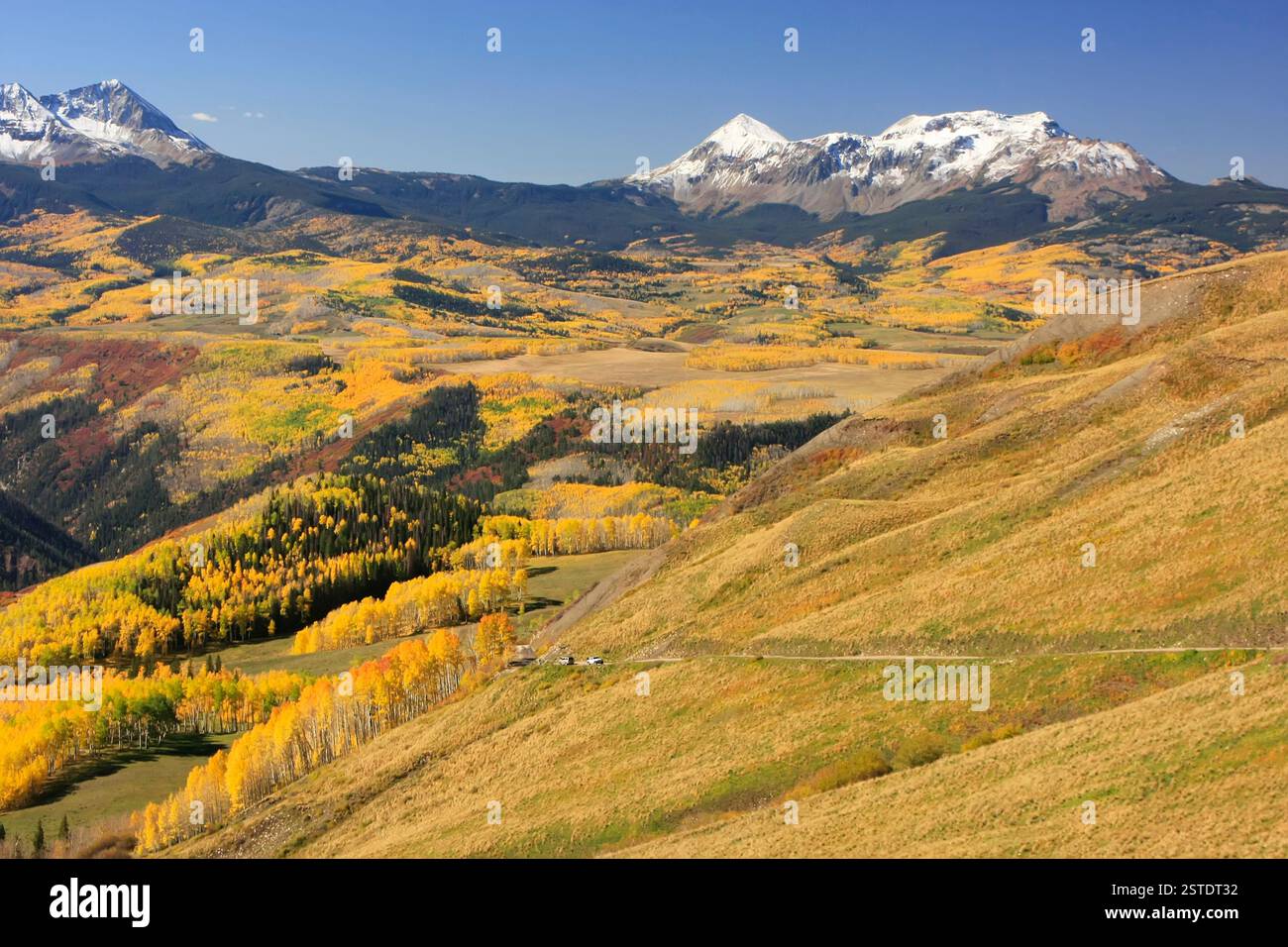 Lizard Head wilderness, Colorado, USA Stock Photo - Alamy