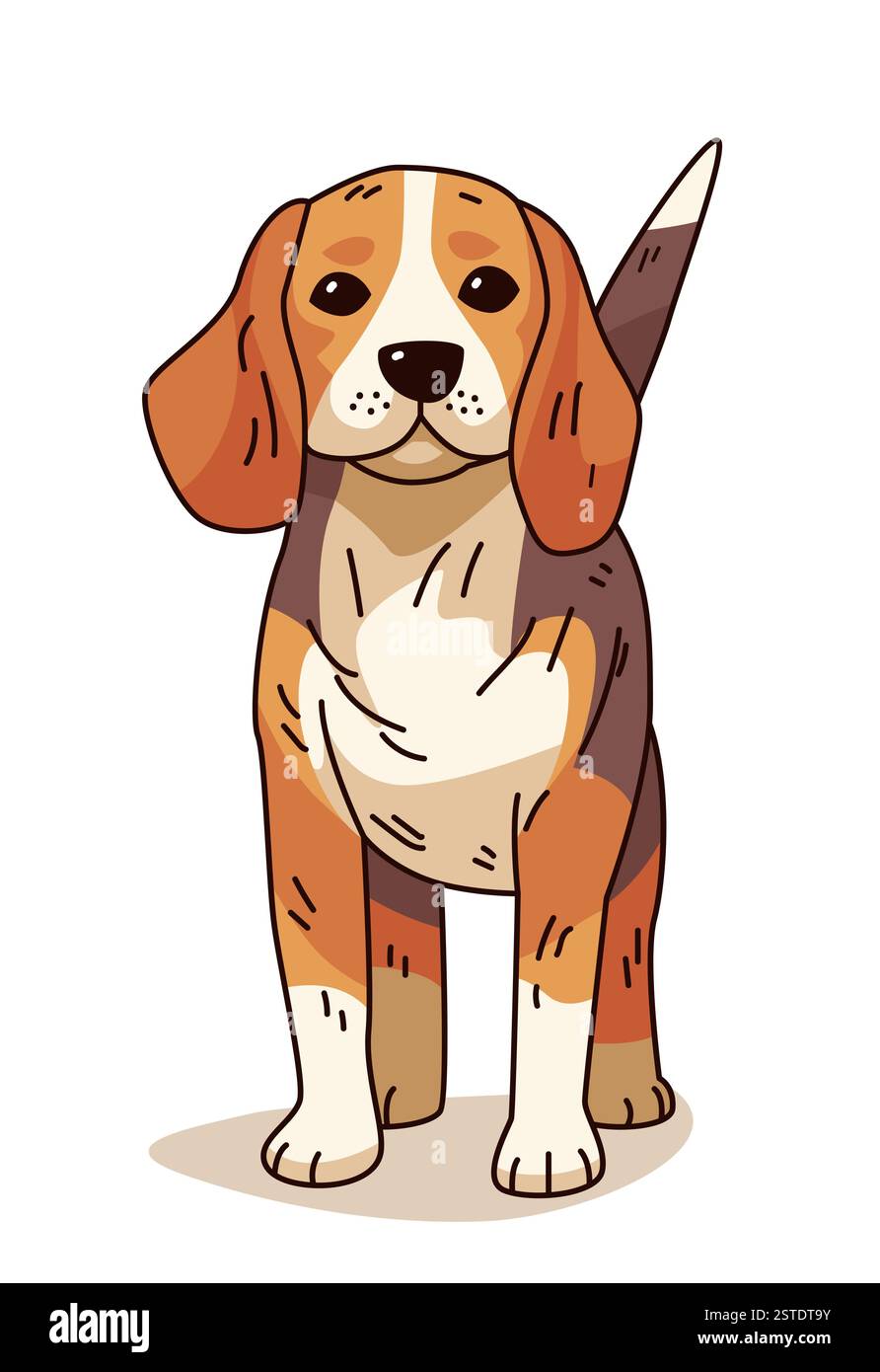 Beagle dog cute cartoon style standing brown white black ears tail ...