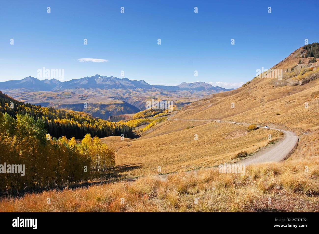 Lizard Head wilderness, Colorado, USA Stock Photo - Alamy