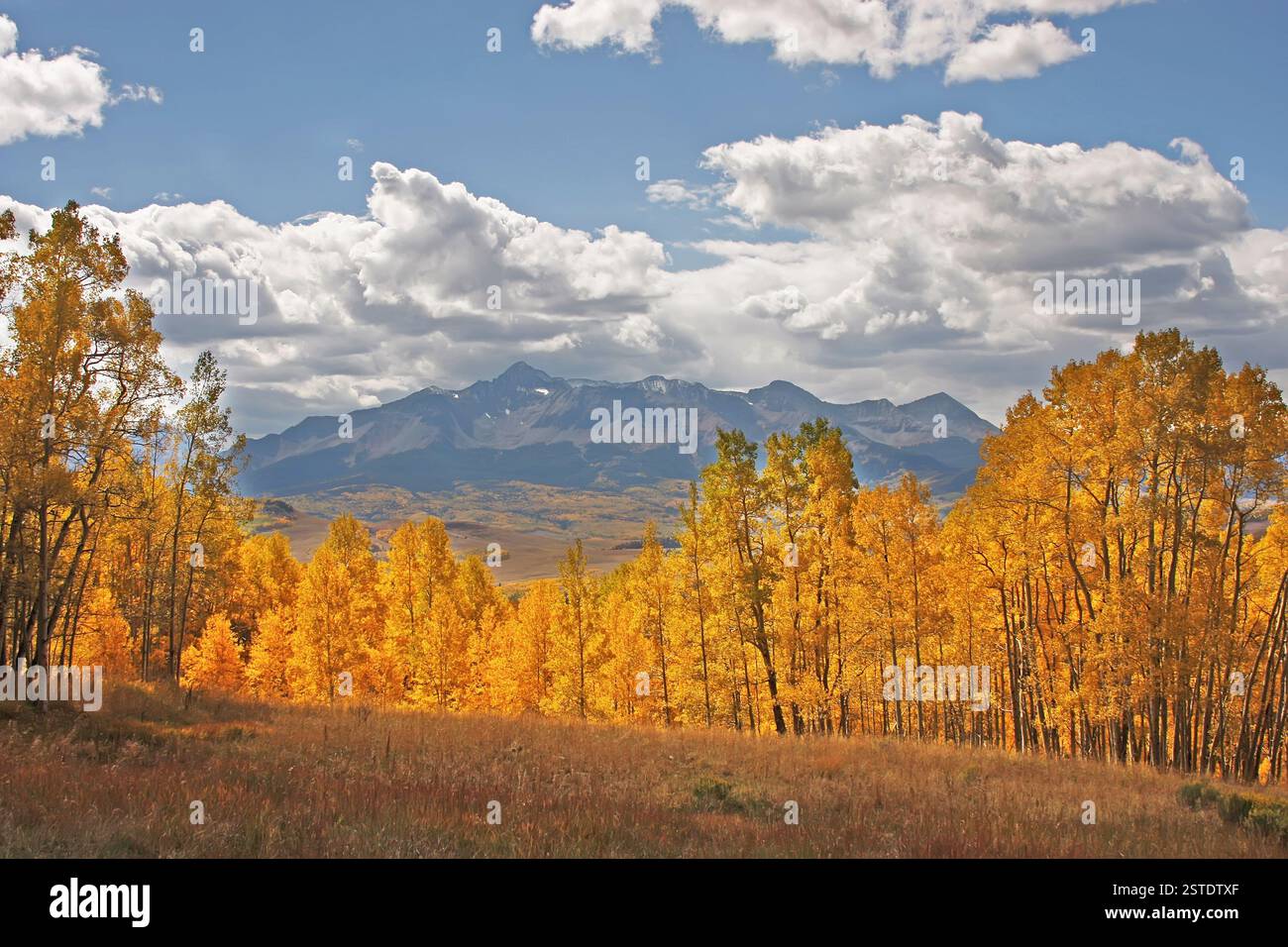 Lizard Head wilderness, Colorado, USA Stock Photo - Alamy