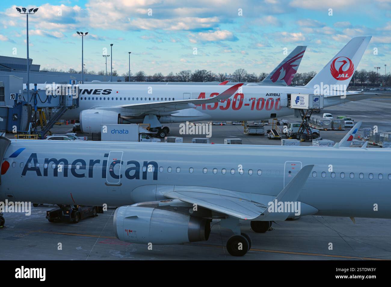 NEW YORK, USA -8 JAN 2025- View of an Airbus A350-1000 airplane from ...
