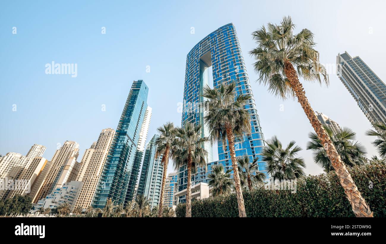 Palm trees modern buildings hi-res stock photography and images - Alamy