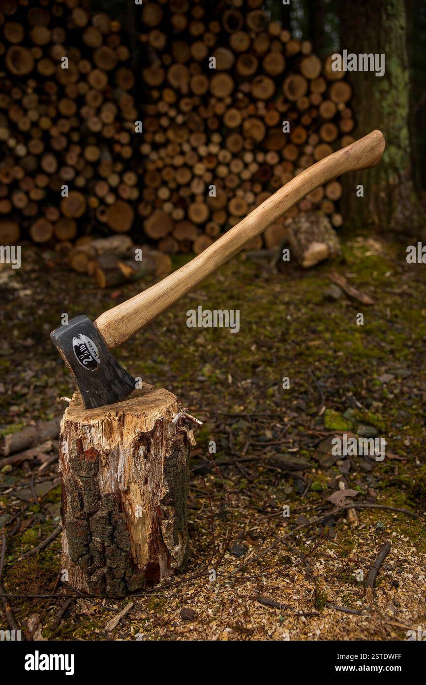 Chopping log hi-res stock photography and images - Alamy