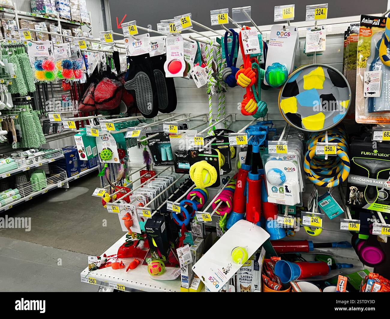 Lviv, Ukraine - February 16, 2025: Pet toys and grooming accessories ...