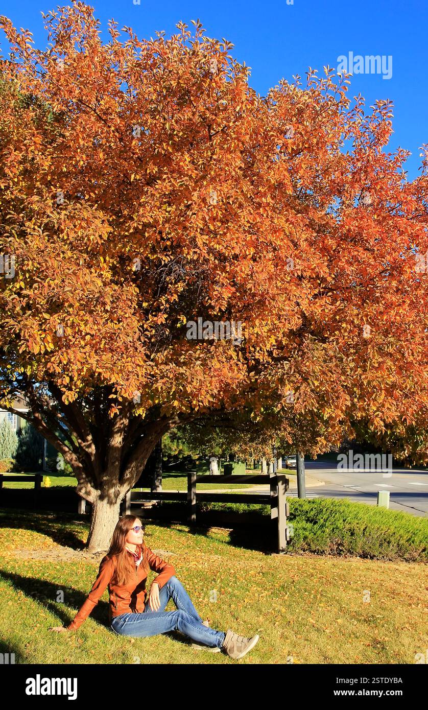 Woman under tree neighborhood hi-res stock photography and images - Alamy
