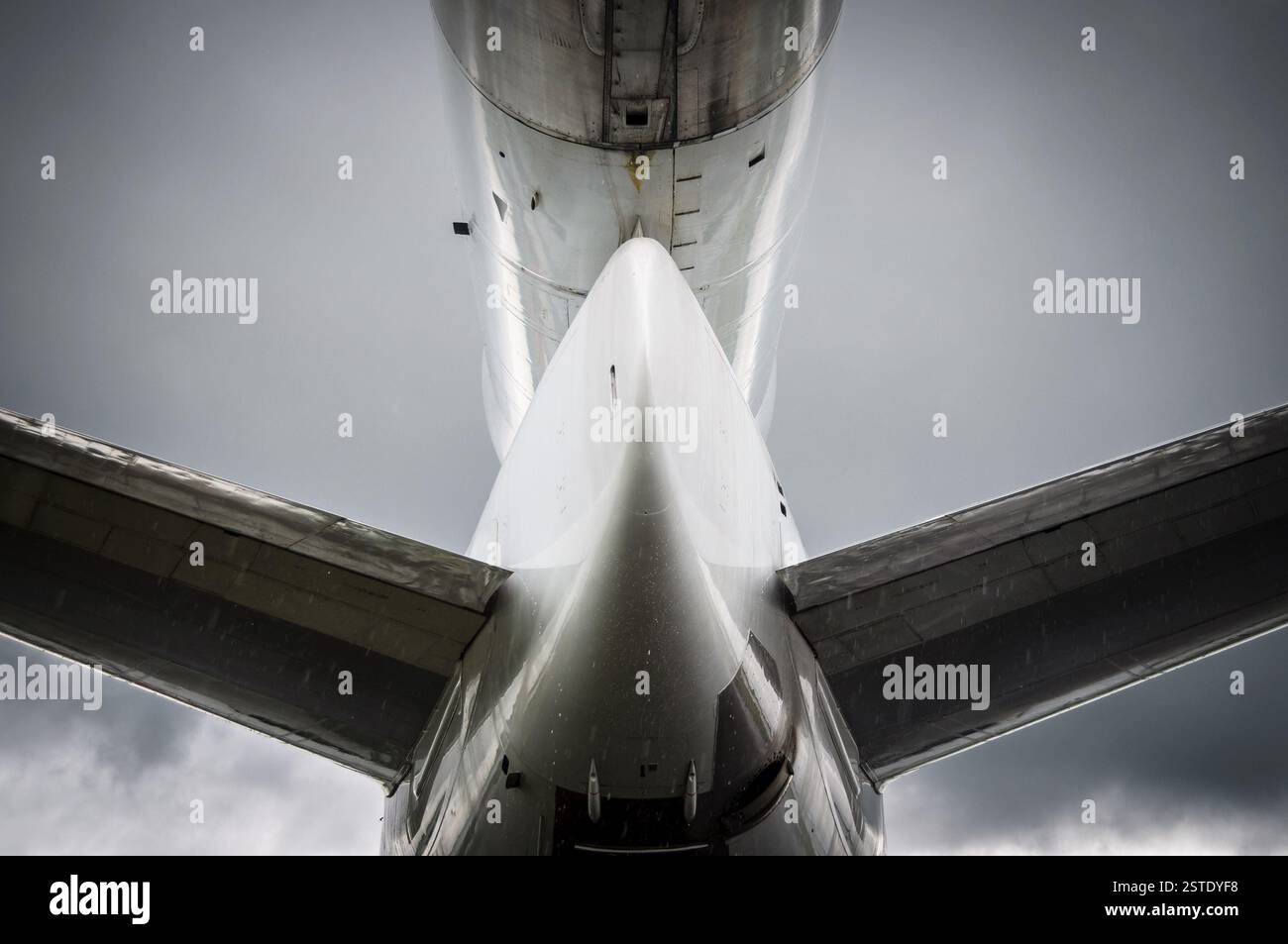 Structure of tail hi-res stock photography and images - Alamy