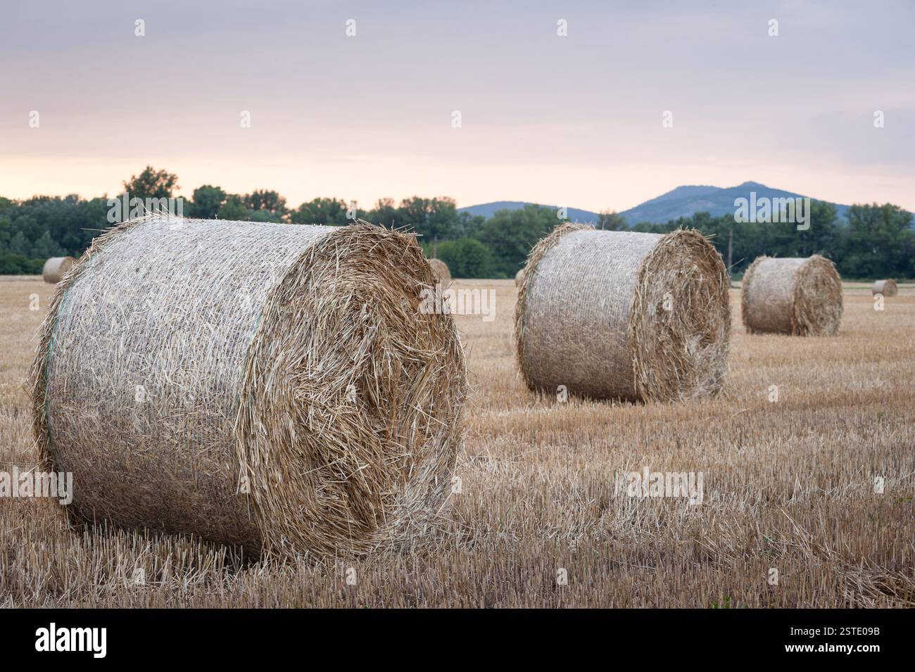 Bales hay golden hour hi-res stock photography and images - Alamy