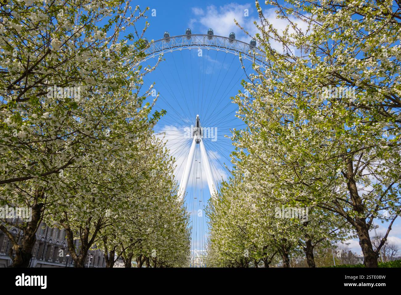 The EDF Energy London Eye Stock Photo - Alamy