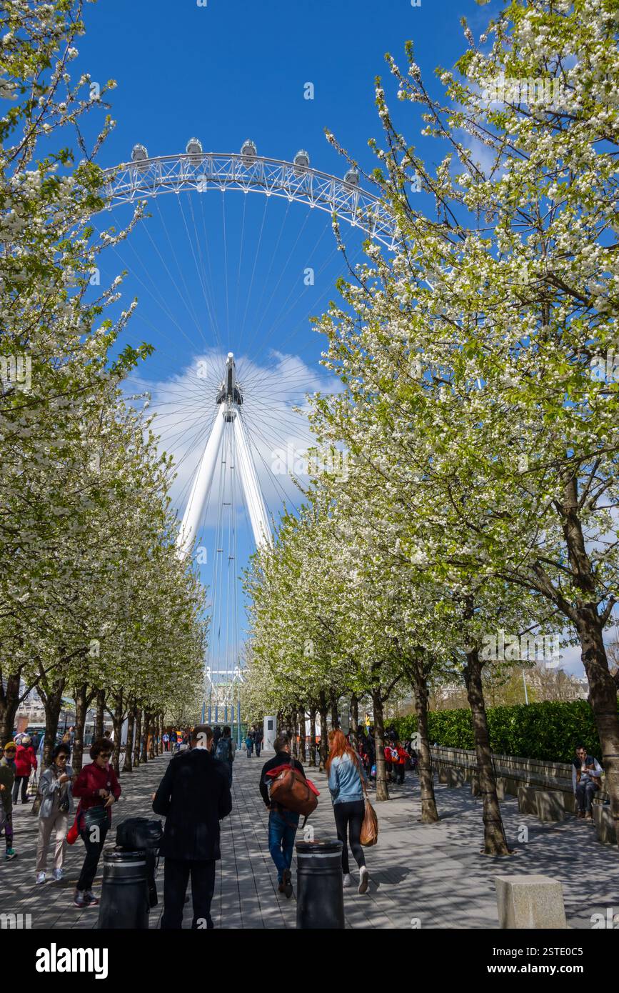 The EDF Energy London Eye Stock Photo - Alamy