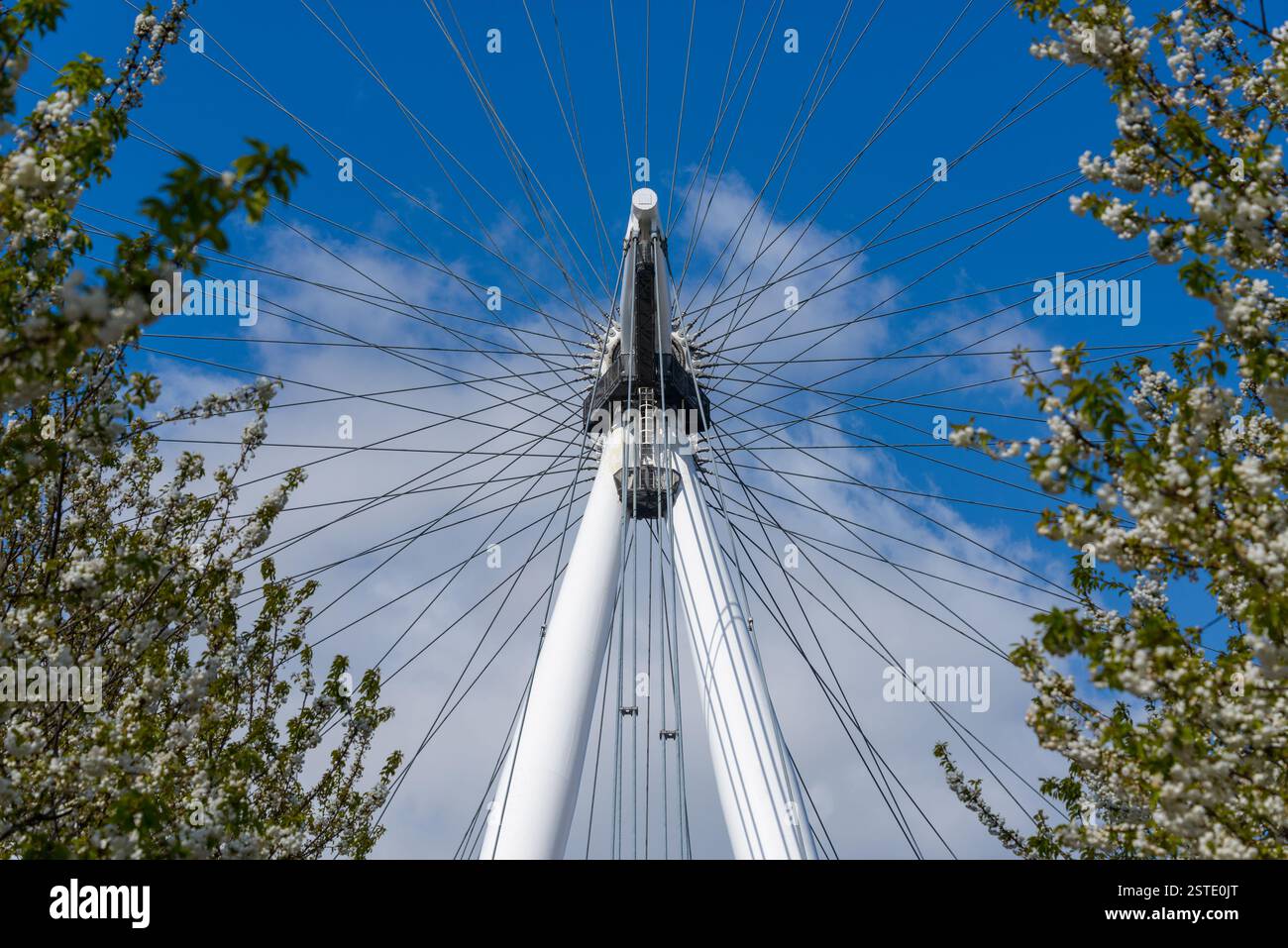 The EDF Energy London Eye Stock Photo - Alamy