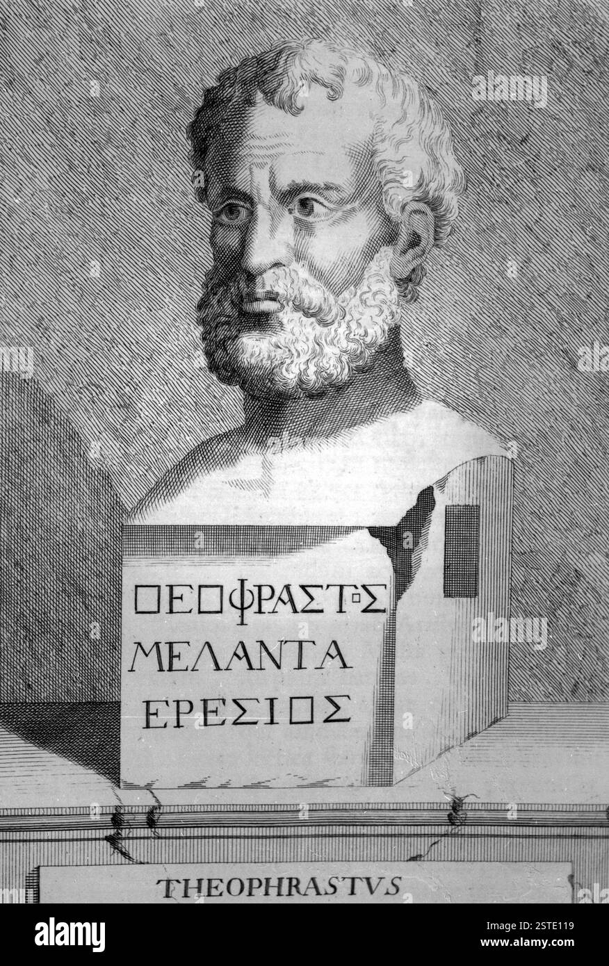 Greek philosopher Theophrastus bust, engraving, 1700s Stock Photo - Alamy