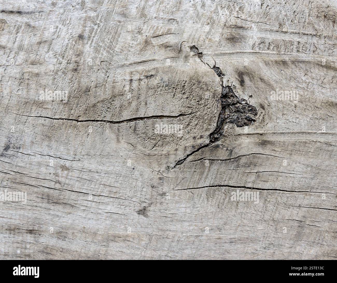Node on a wood plank Stock Photo - Alamy