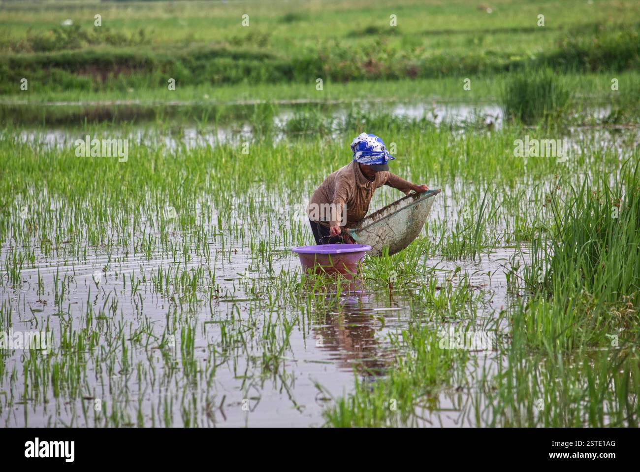 Floods in Antananarivo, Madagascar A fisherwoman early morning fishing ...