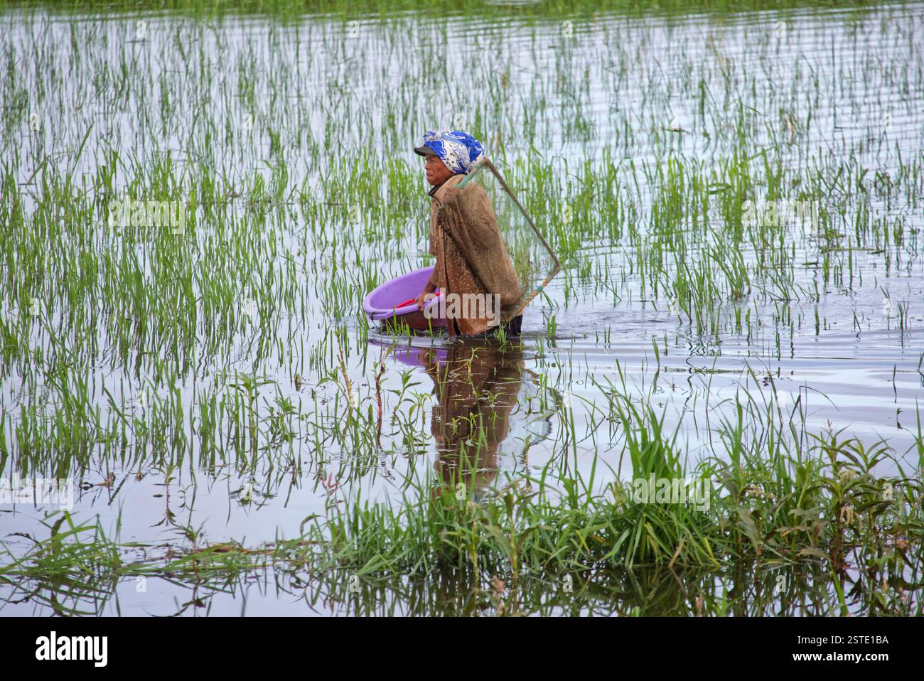 Floods in Antananarivo, Madagascar A fisherwoman early morning fishing ...