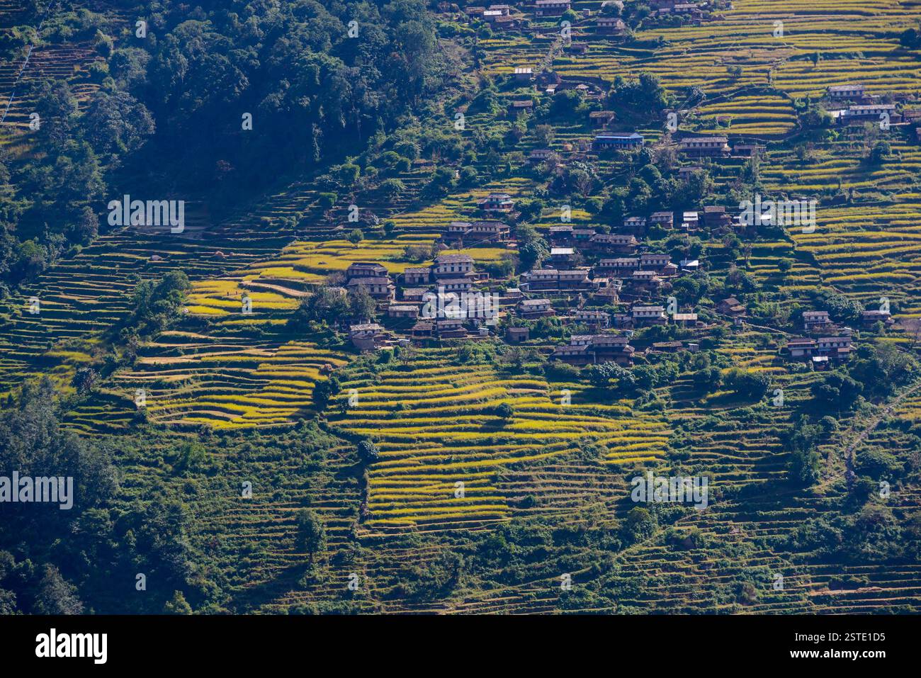 Traditional nepalese village himalayas hi-res stock photography and ...