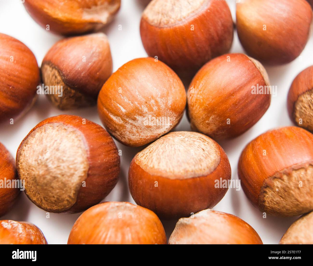 Close up closeup nutshell hi-res stock photography and images - Alamy