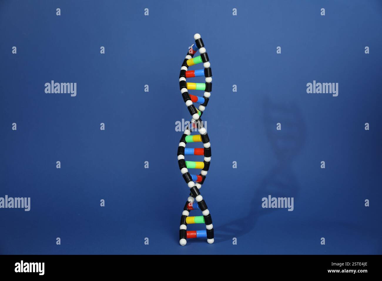 Colorful DNA structure model on blue background Stock Photo - Alamy