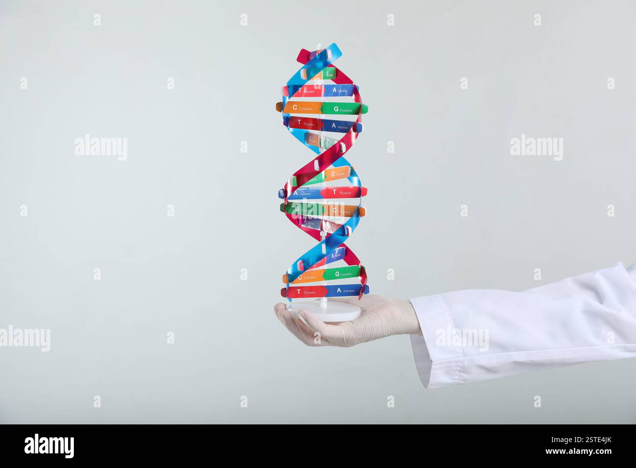 Scientist holding DNA structure model on white background, closeup ...