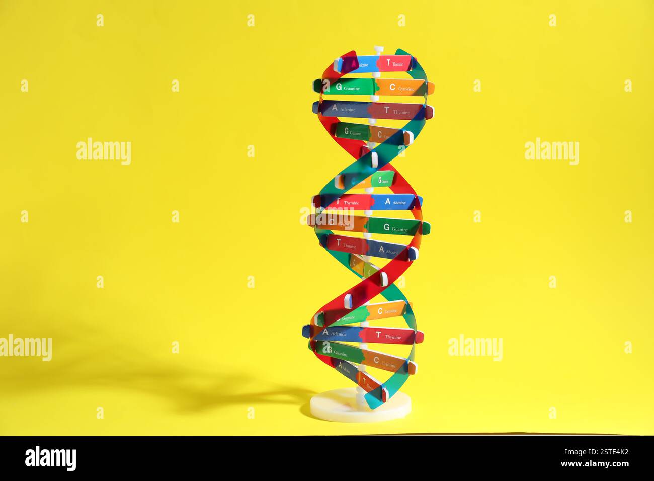 Colorful DNA structure model on yellow background Stock Photo - Alamy