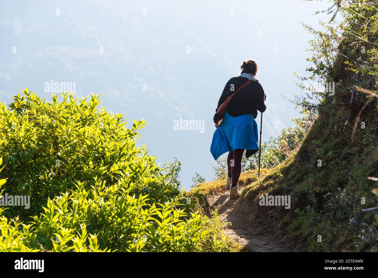 Young female trekker in nepal hi-res stock photography and images - Alamy