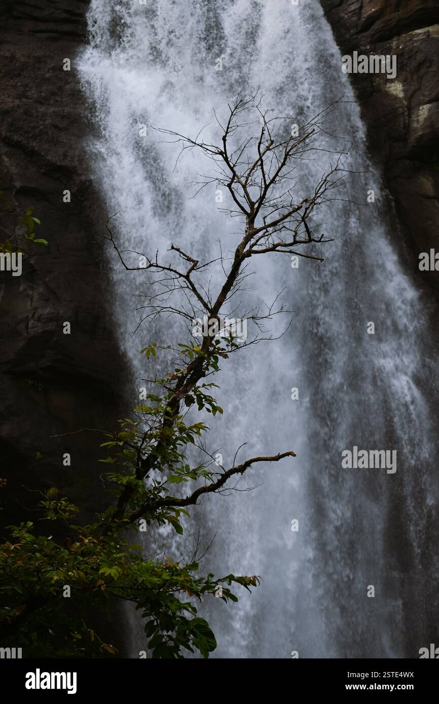 Athirappilly water falls Stock Photo - Alamy
