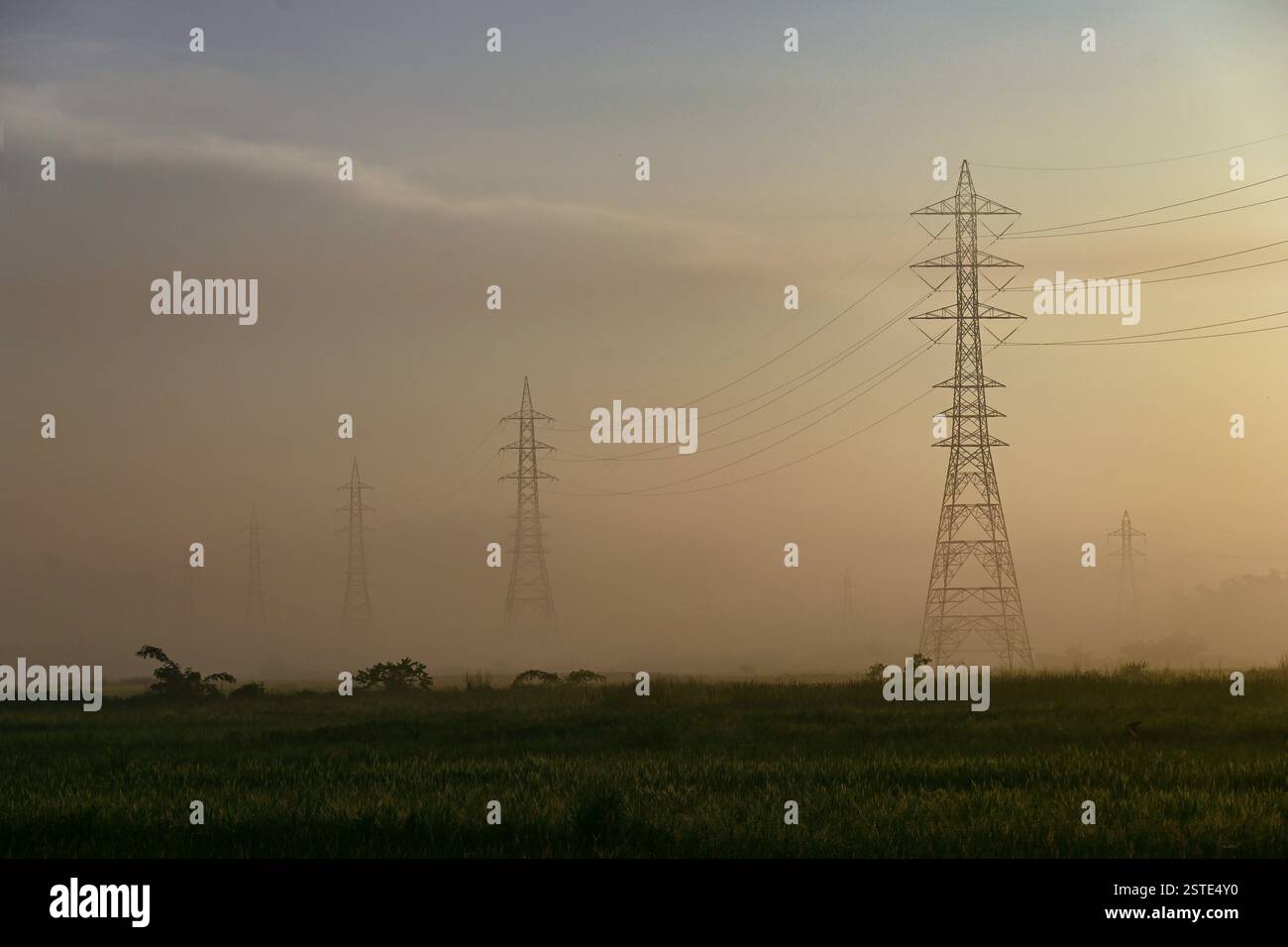 Electric towers rise through the morning fog, standing tall over the ...