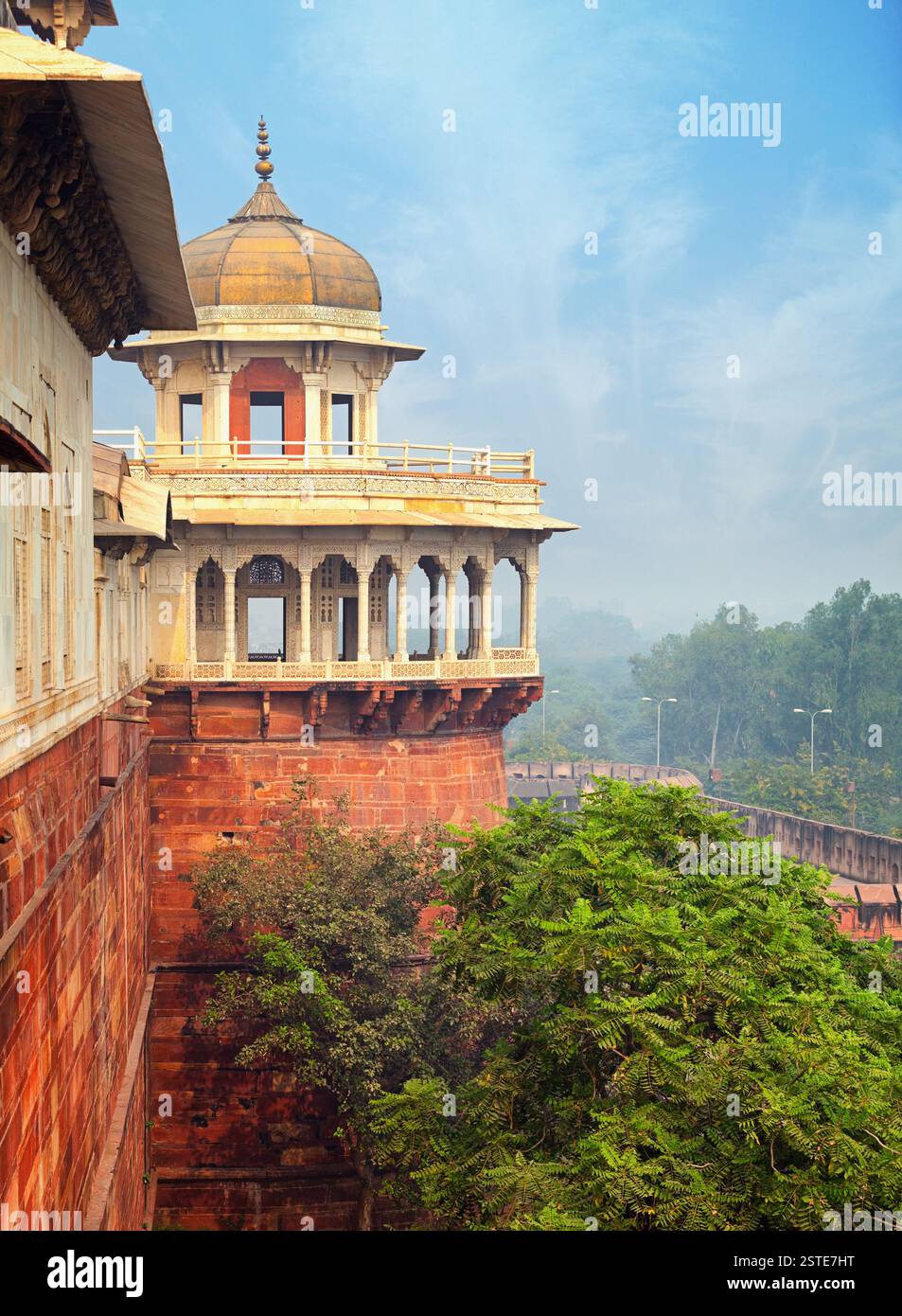 Asian style tower, Red ford, Agra, India Stock Photo - Alamy